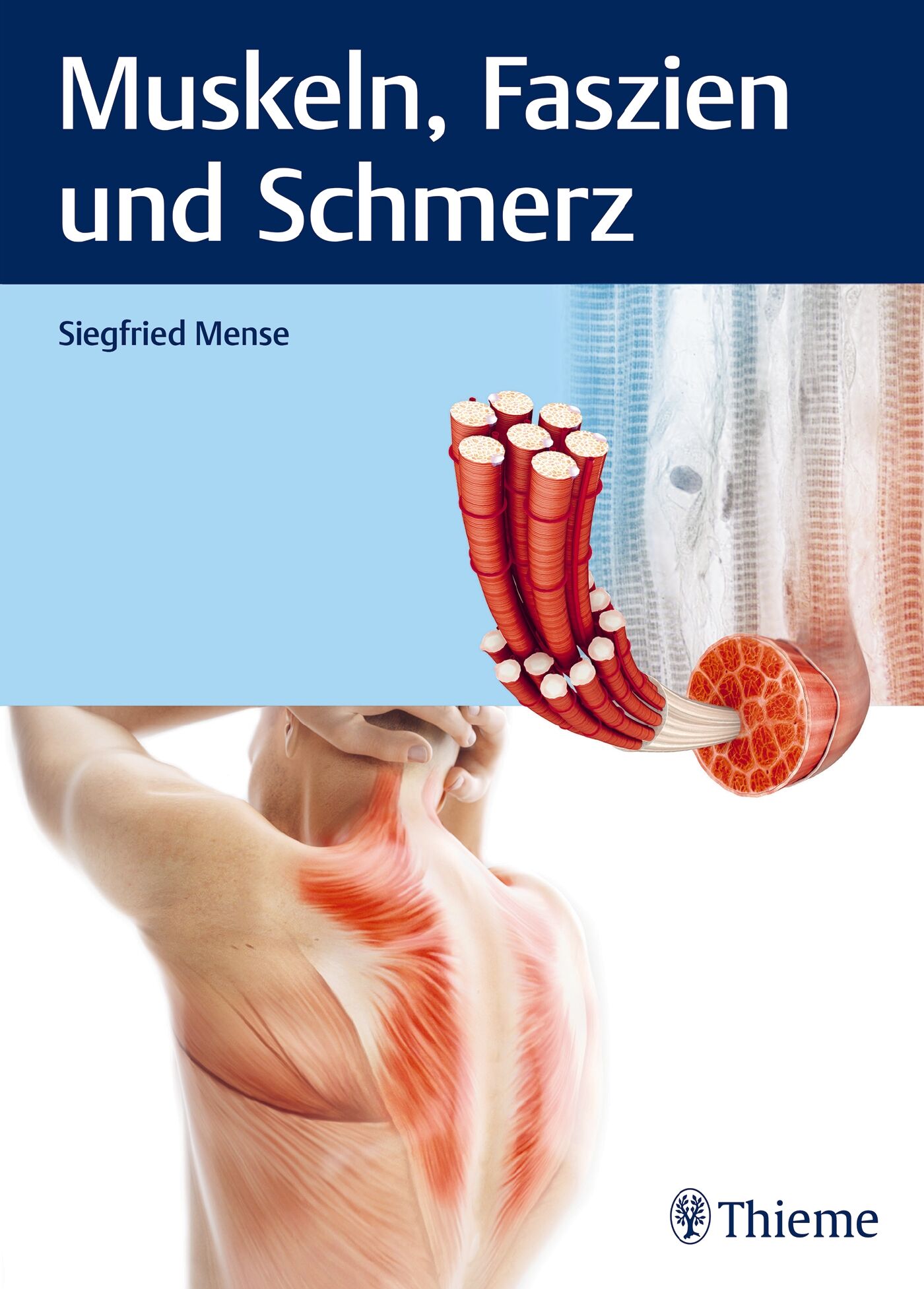 Muskeln, Faszien und Schmerz | 9783132426627 | Thieme Webshop