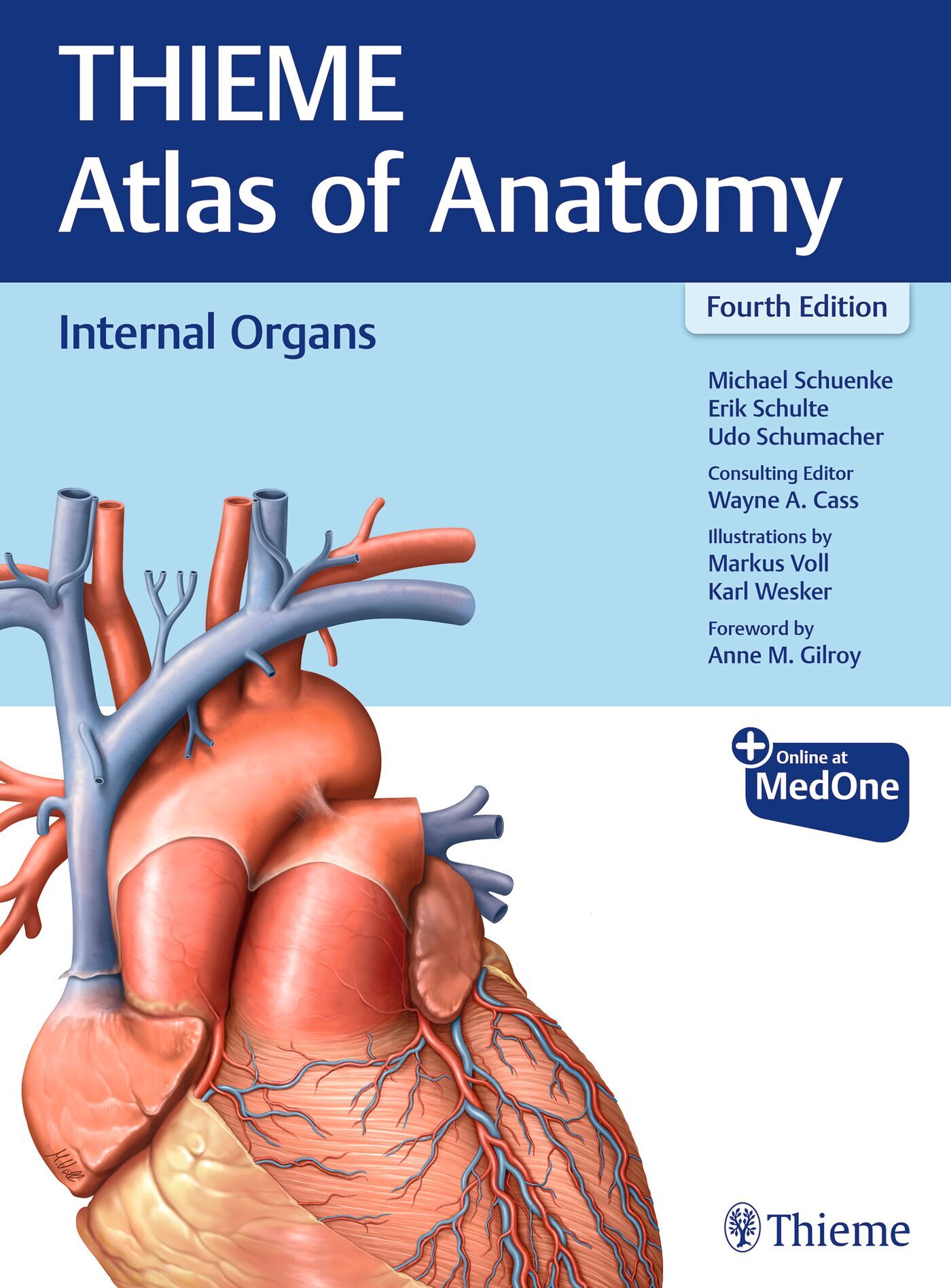 Internal Organs (THIEME Atlas of Anatomy): jetzt bestellen im Thieme ...