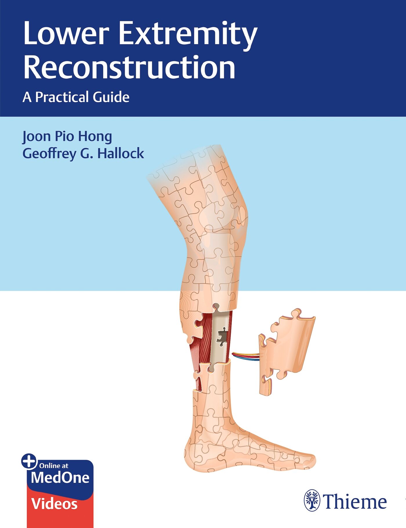 Lower Extremity Reconstruction | 9781638535317 | Thieme Webshop