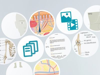 Heilpraktiker-Kolleg | Thieme Webshop