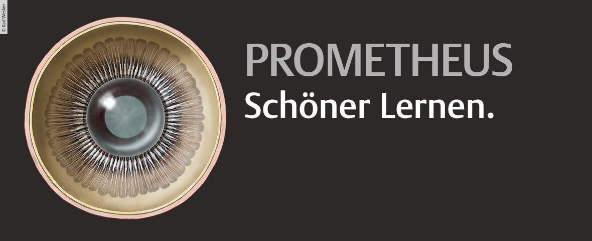 Prometheus | Thieme Webshop