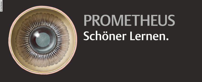 Prometheus | Thieme Webshop