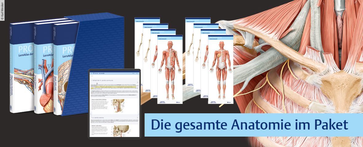 Prometheus | Thieme Webshop