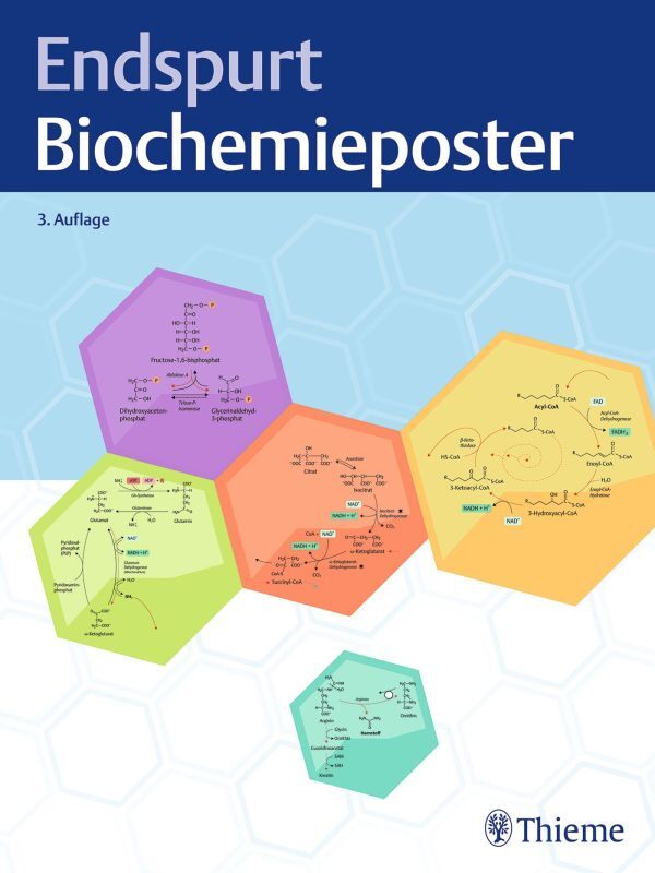 Endspurt Biochemieposter | 9783132445833 | Thieme Webshop